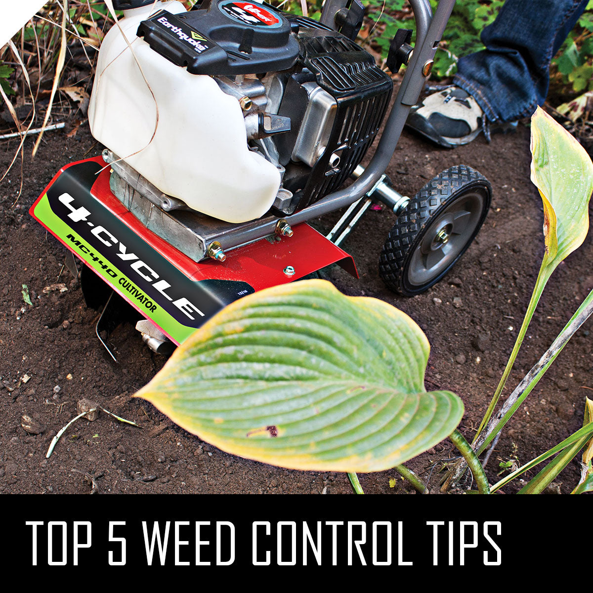 Top 5 Weed Control Tips - Earthquake Outdoor Power Equipment